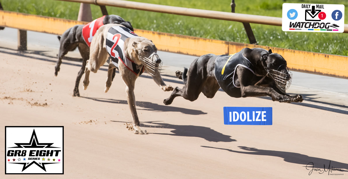 The Watchdog's Daily Mail