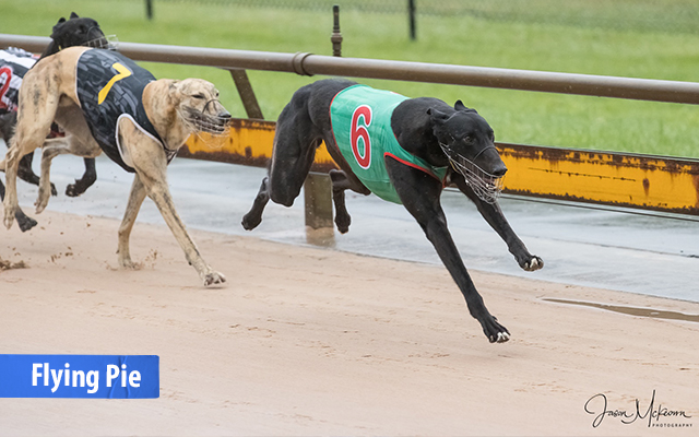 ‘Cakewalk’ for Flying Pie?