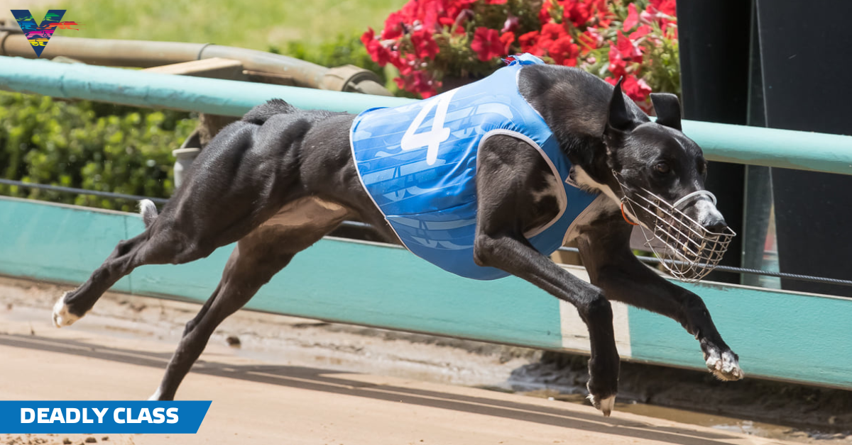 ‘Deadly’ precision!