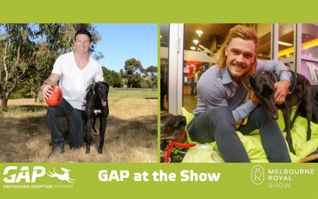 Choose your code! | GRV