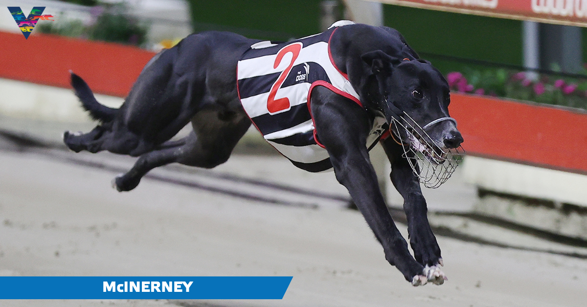 McInerney’s Million Dollar mission – BOAY Racing News