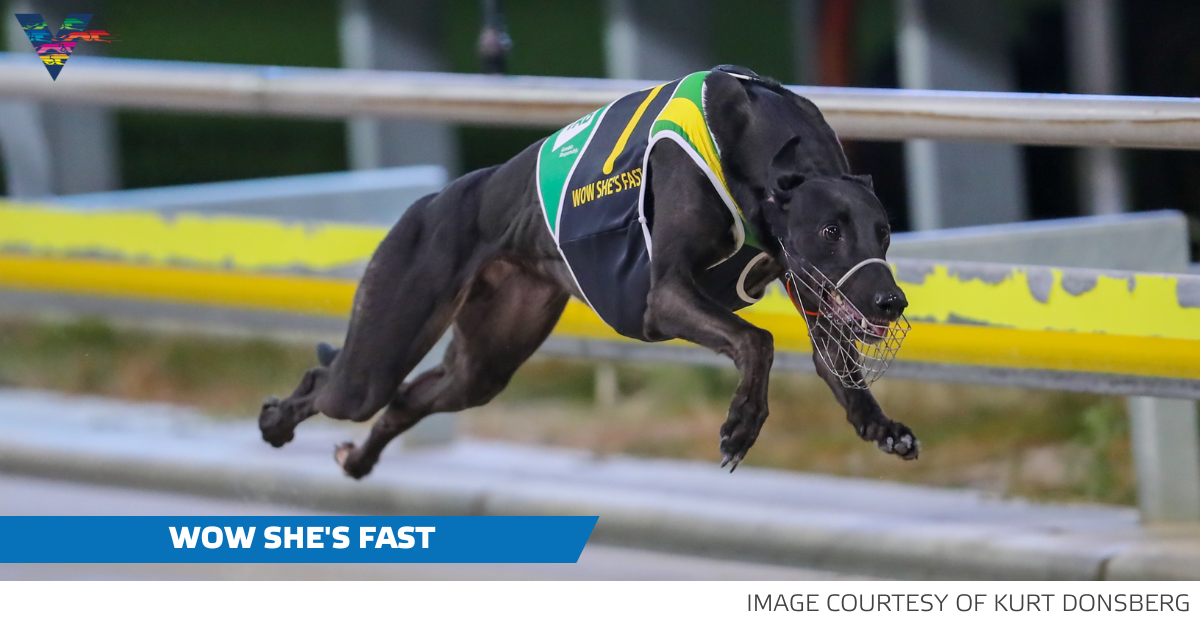 Vics set to ‘wow’ SA