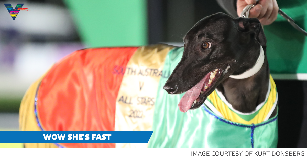 Ready… Set… ‘Wow’!