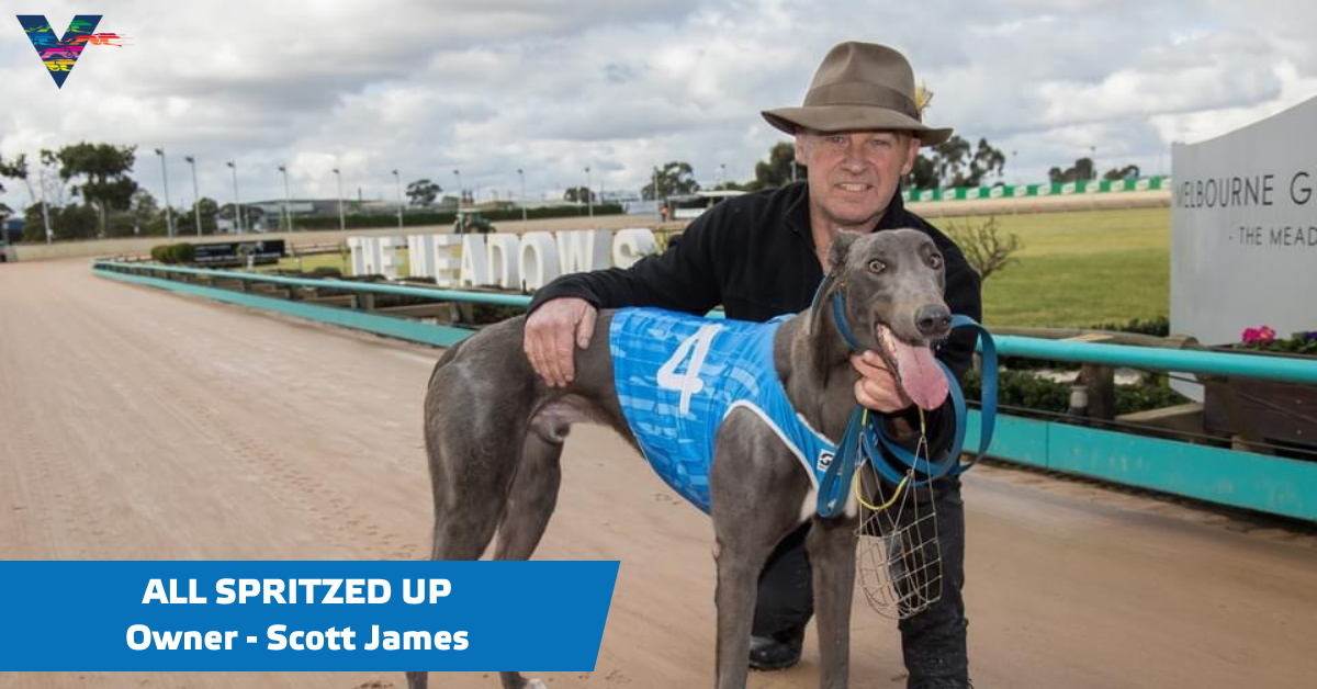 Spritzed makes 'Great' splash