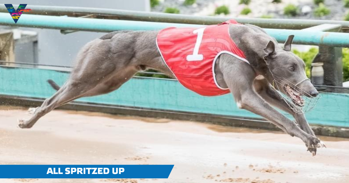 Spritzed in ‘Great’ blitz!