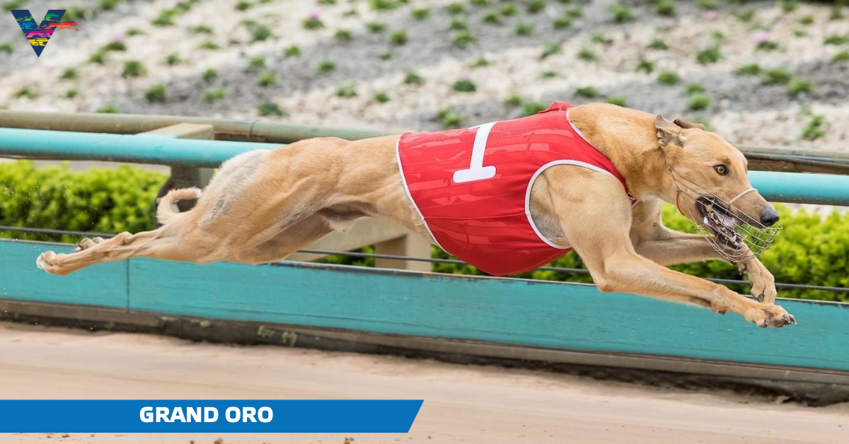 Azzopardi’s ‘Grand’ prospect