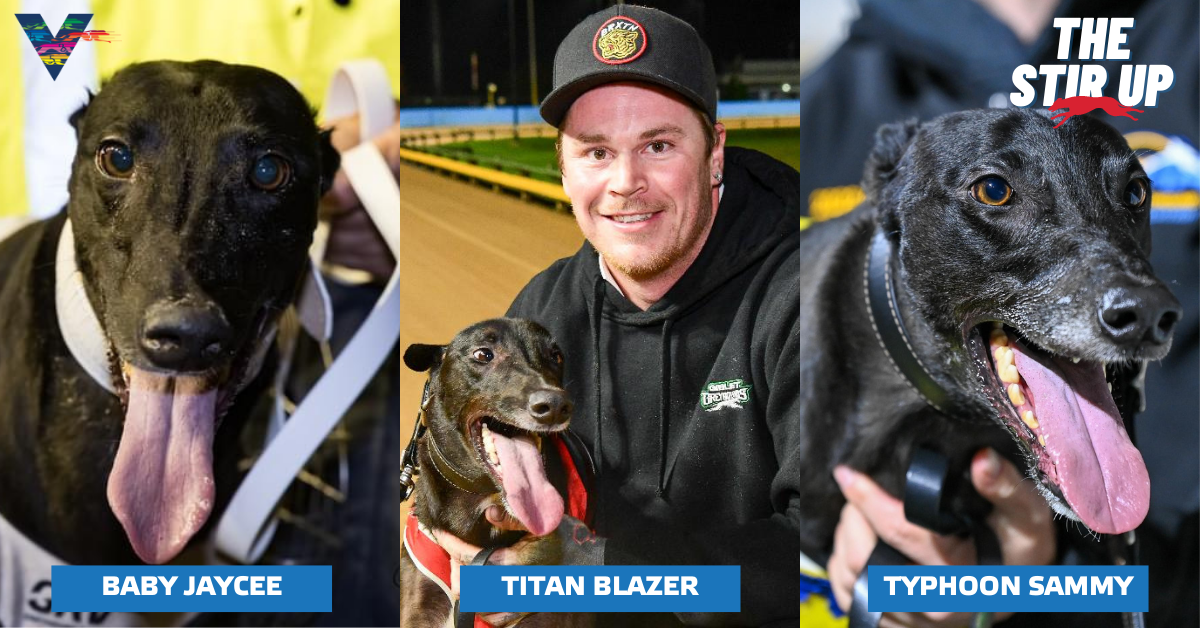 The Stir Up featuring Baby Jaycee, Titan Blazer and Typhoon Sammy