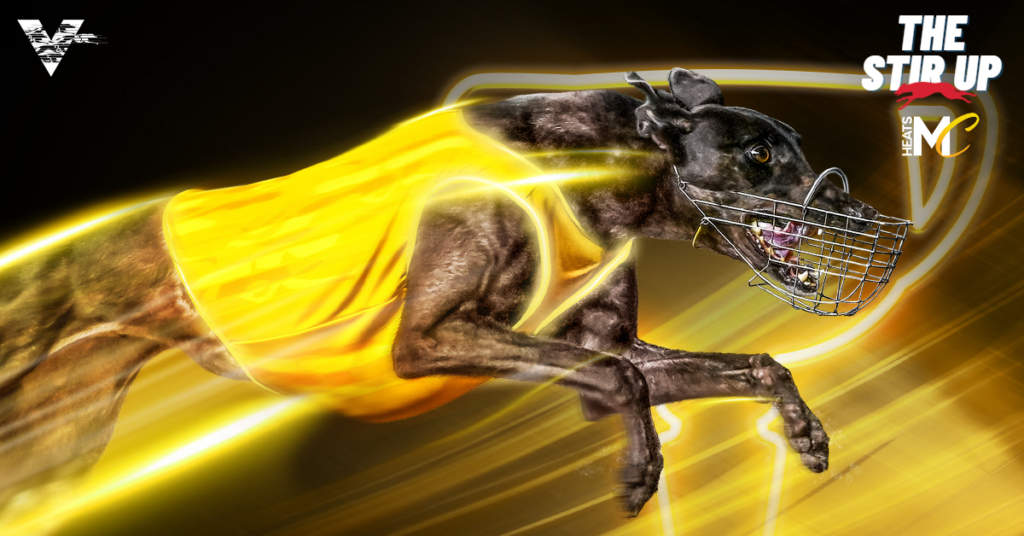 The Stir Up - Melbourne Cup heats Edition