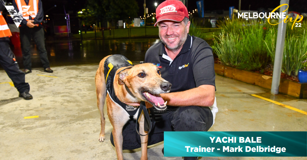 Delbridge living Cup ‘Dream’