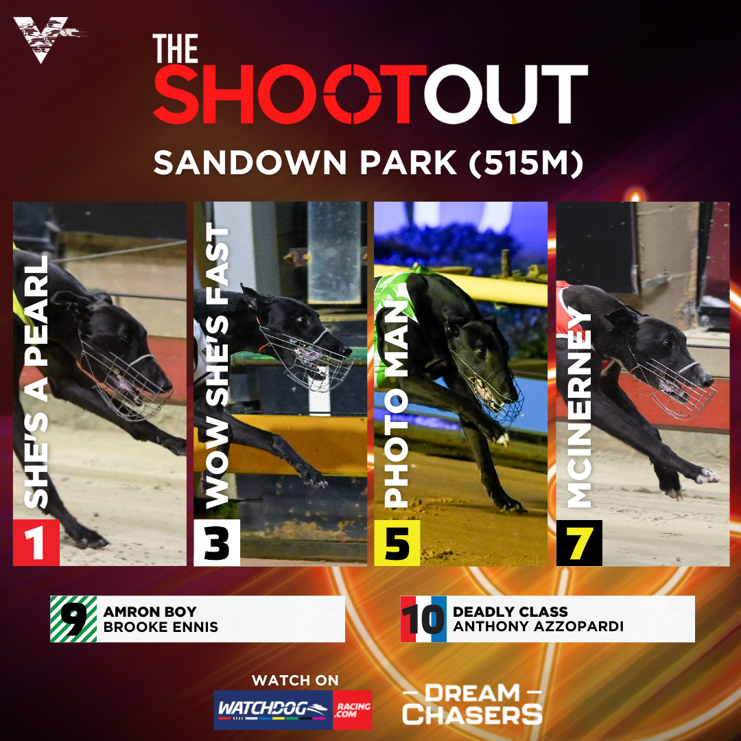 Shootout ‘High Noon’