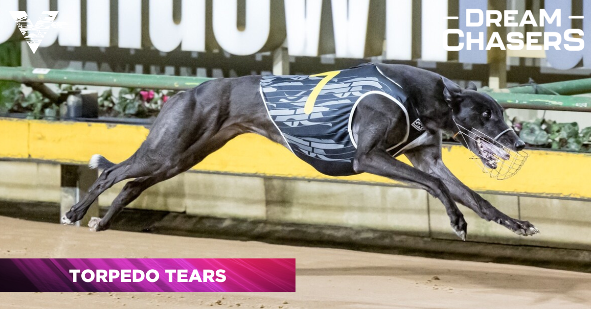 Can ‘Torpedo’ sink ‘Ruby’?