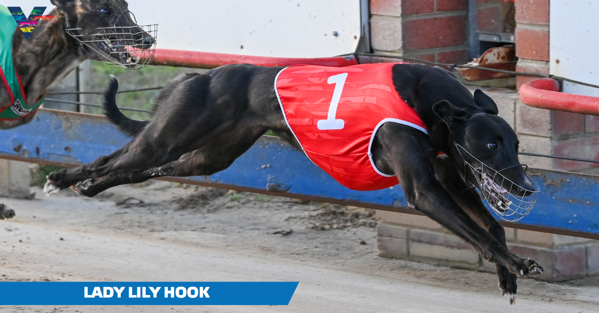 ‘Guy’ and ‘Lady’ chase Group 1 glory!