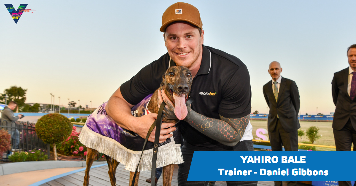 Gibbons’ golden girls eye Futurity