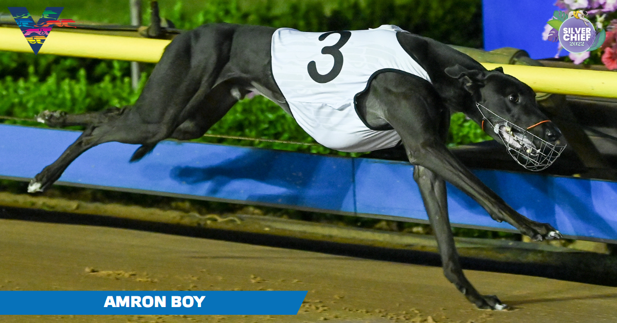 I’m just mad about ‘Amron’