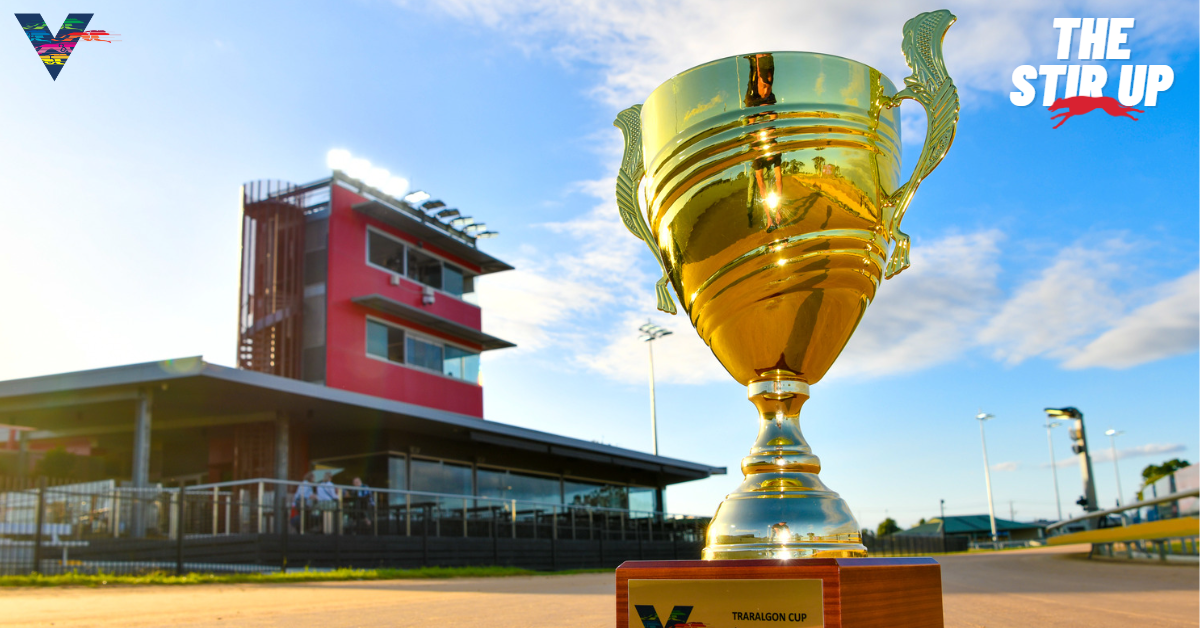 The Stir Up - Traralgon Cup Edition