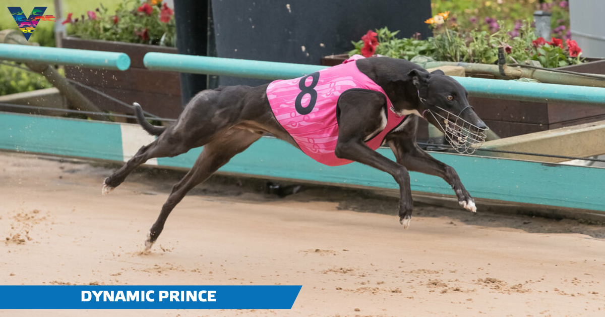 Presutto chases ‘dynamic’ double