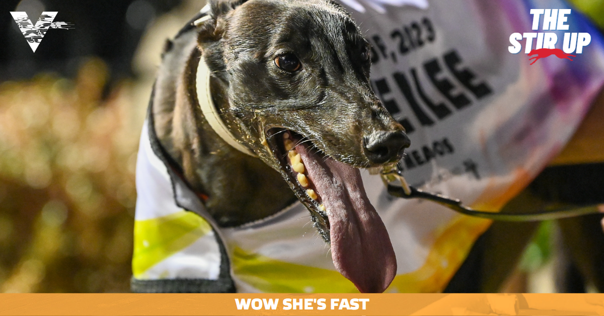 The Stir Up - Is Wow She's Fast the greatest sprinter of all time?