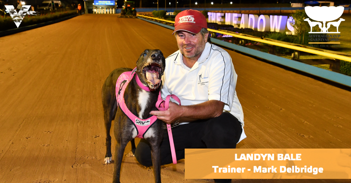 No feeling ‘blue’ about box draw