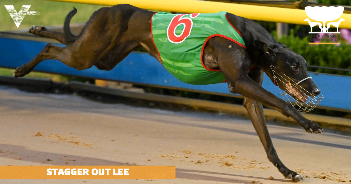 ‘Stagger’ out for Super Stayers glory