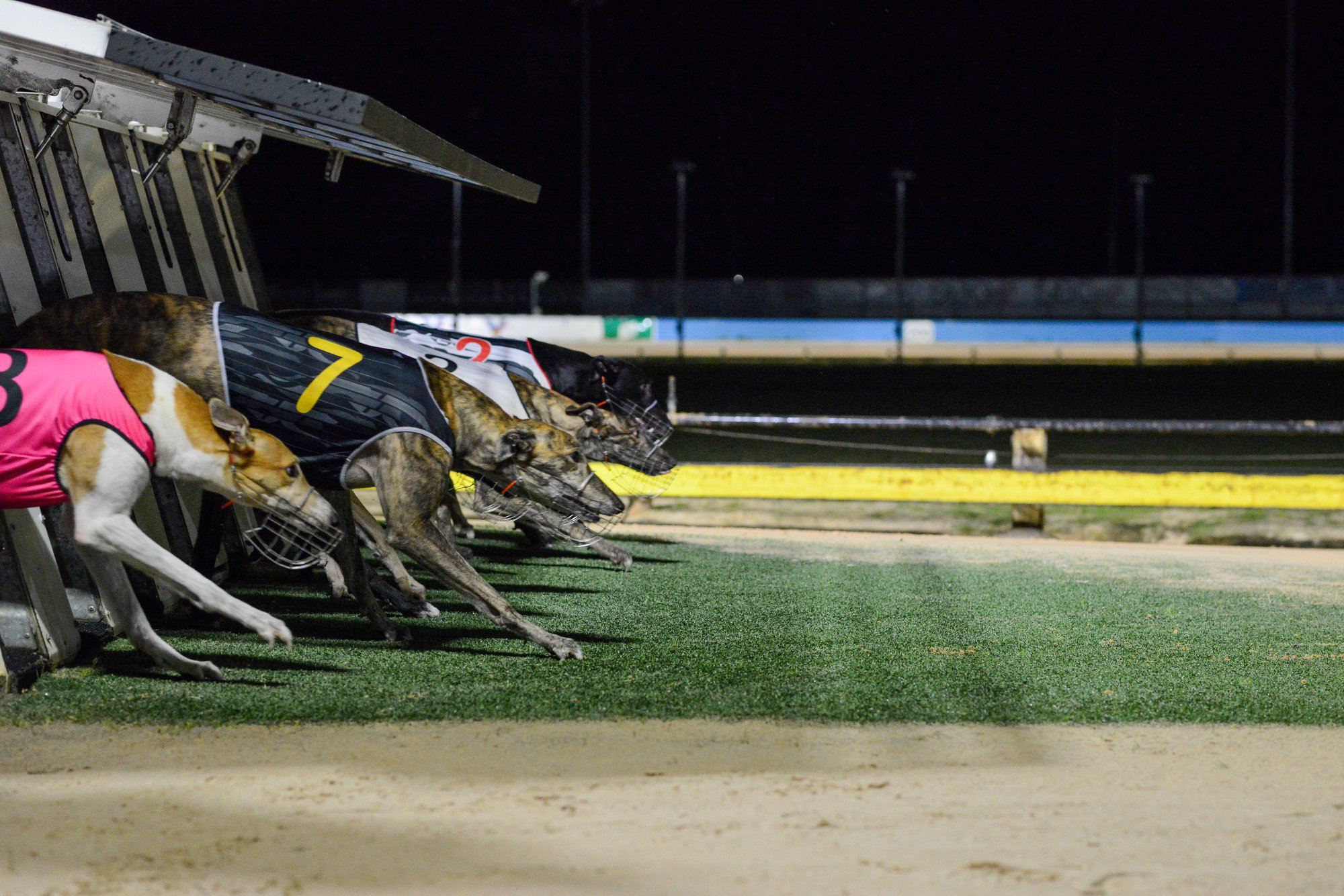 Victoria to pilot Preferential Box Draws
