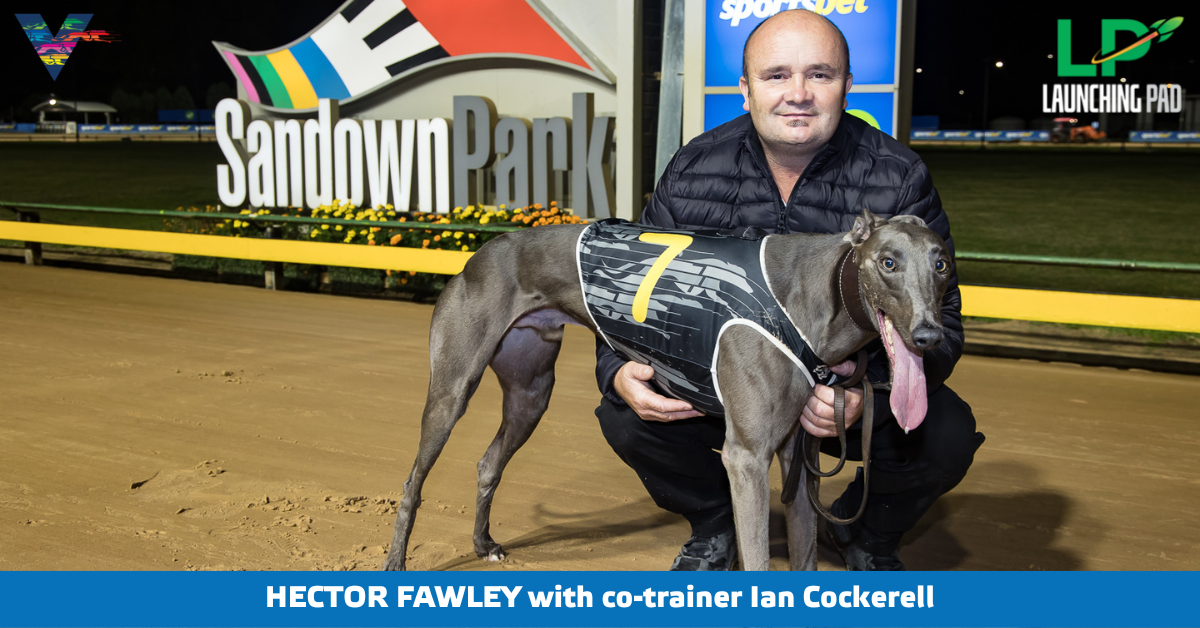 Hector Launches magical return