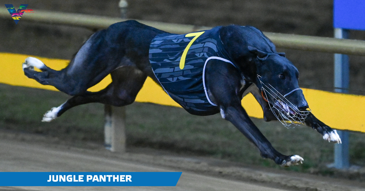 ‘Sibling rivalry’ in Shepparton Cup series