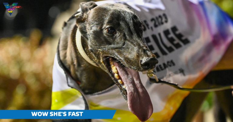 Wow She’s Fast out of Perth Cup