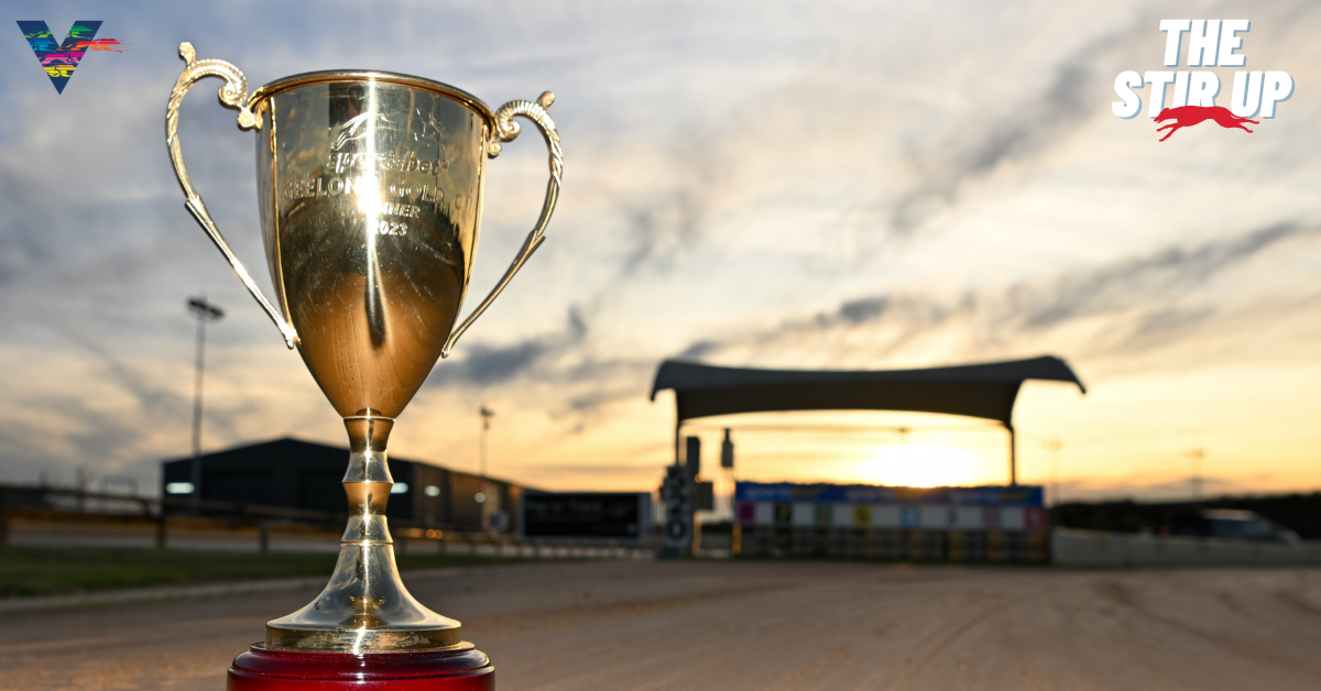 The Stir Up - Geelong Gold Cup Edition