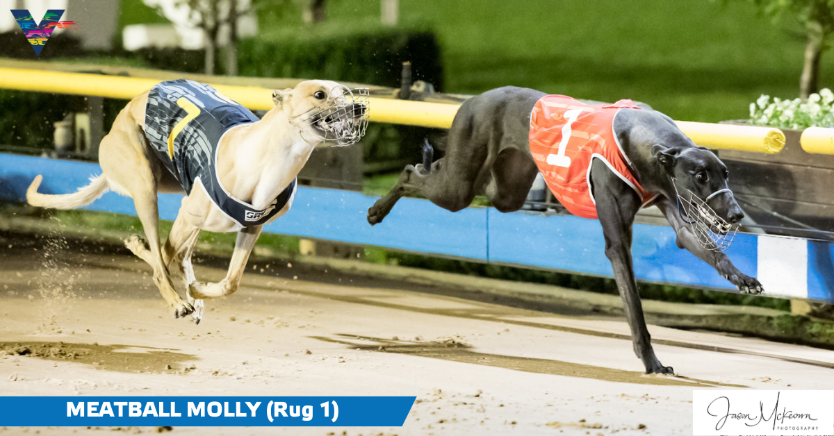 ‘Meatball’ appetising in Karen Leek Memorial