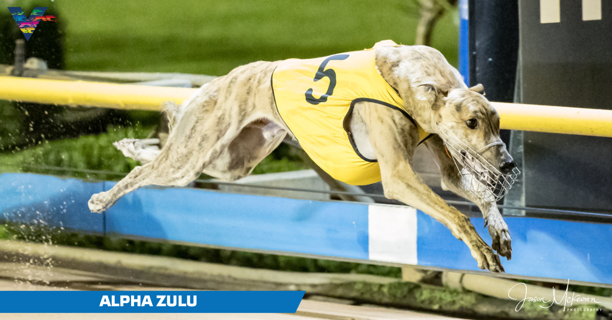 Thompson ‘Flying’ high!