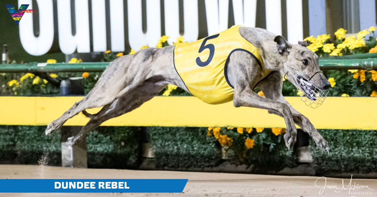 ‘Rebel’ with a $150,000 cause