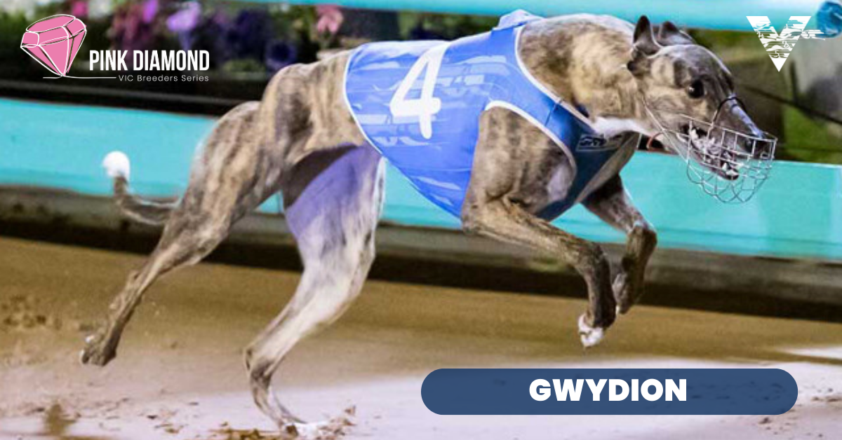 ‘Sniper’ hits Pink Diamond target