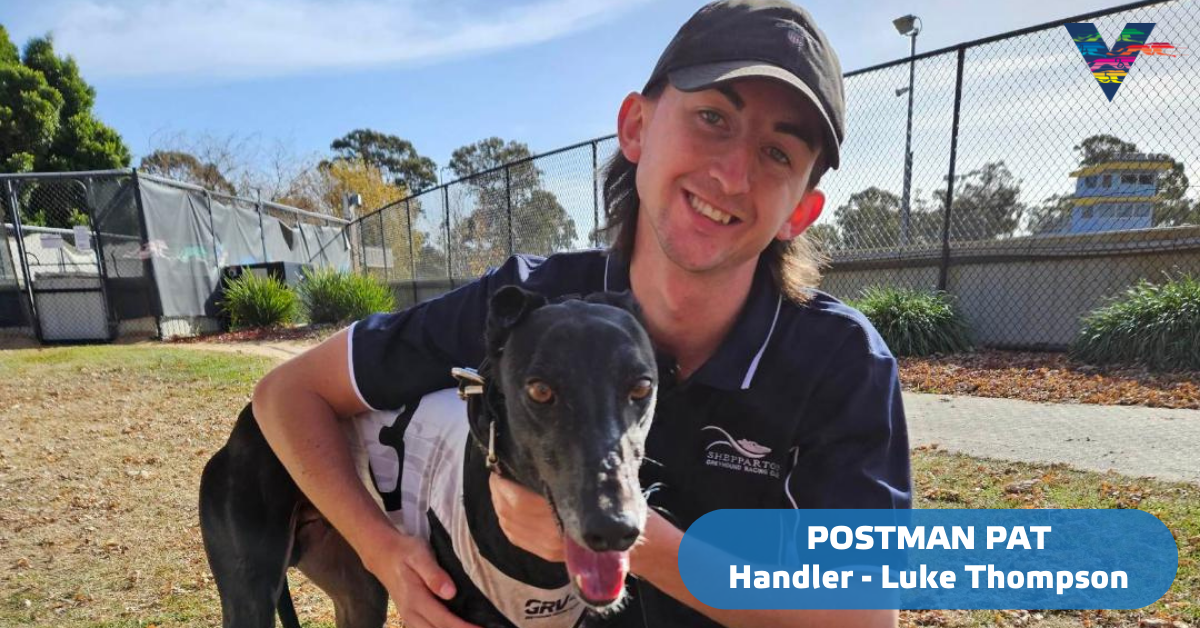 Postman Pat: Special Delivery Service