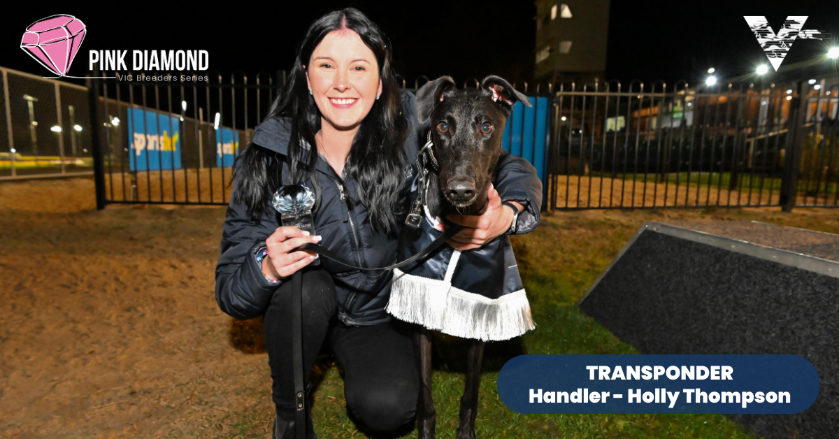 Transponder ‘transmits’ a Pink Diamond glow!