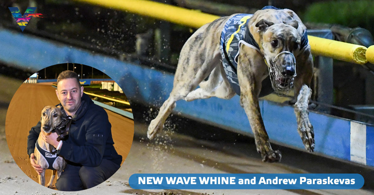 Paraskevas’ Classic winning ‘Wave’