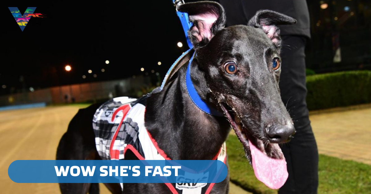 Taking it slow on ‘Fast’ return