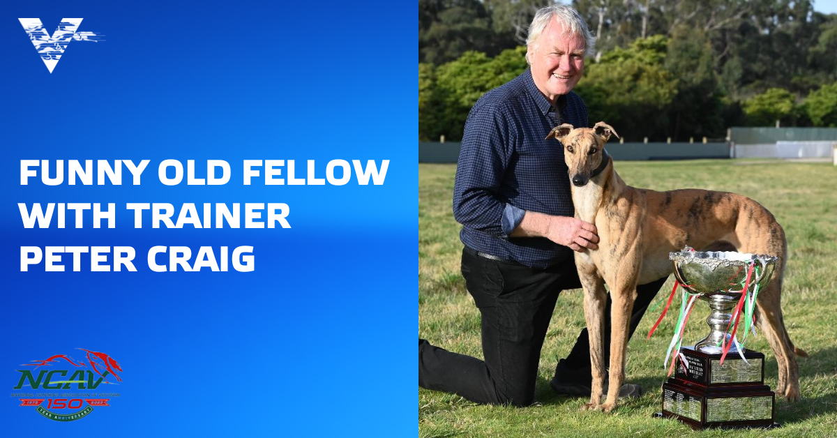 Funny Old Fellow wins 150th Waterloo Cup