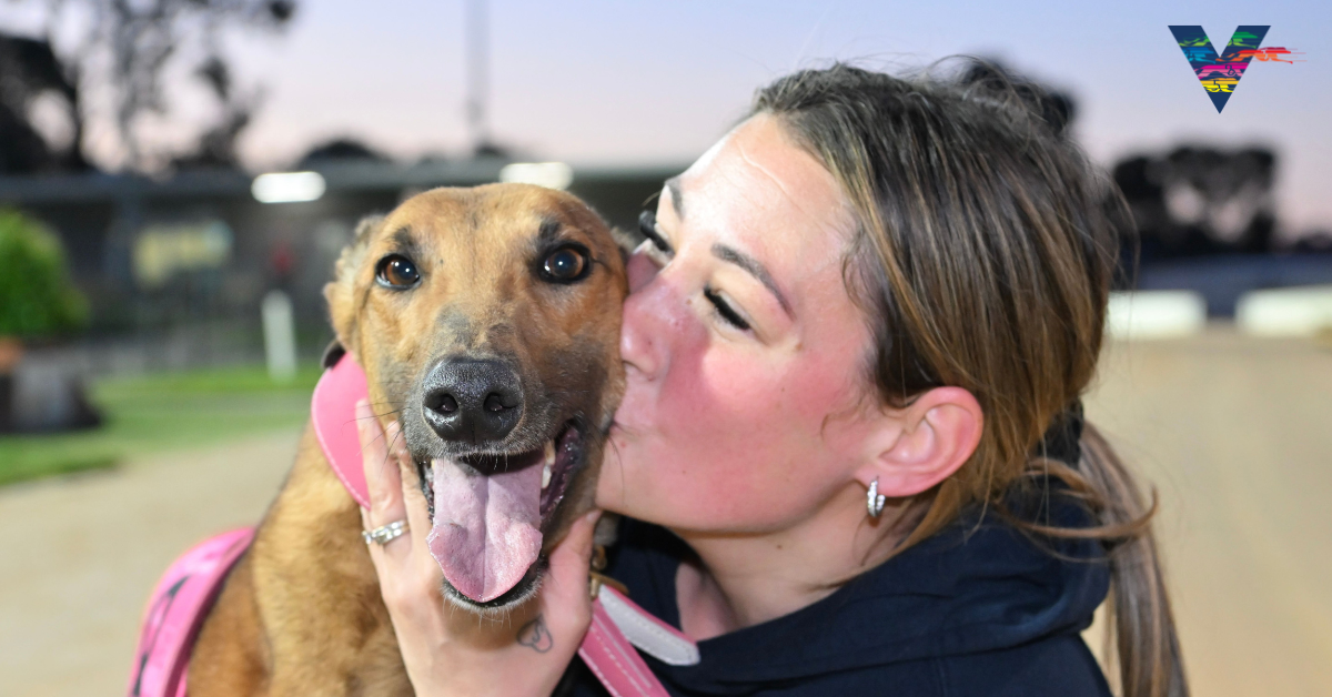 Team Gibbons in Bendigo blitz