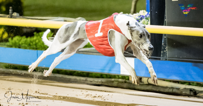 Garry set to ‘Stun’ again