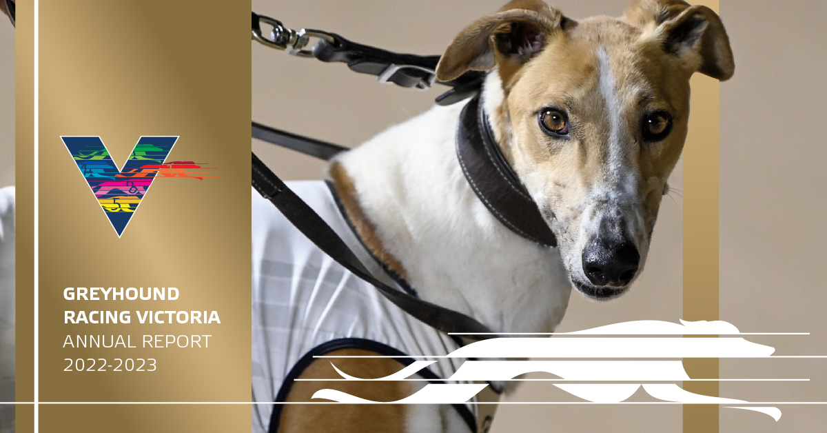 Annual Report highlights targeted investments in the future of Victorian greyhound racing