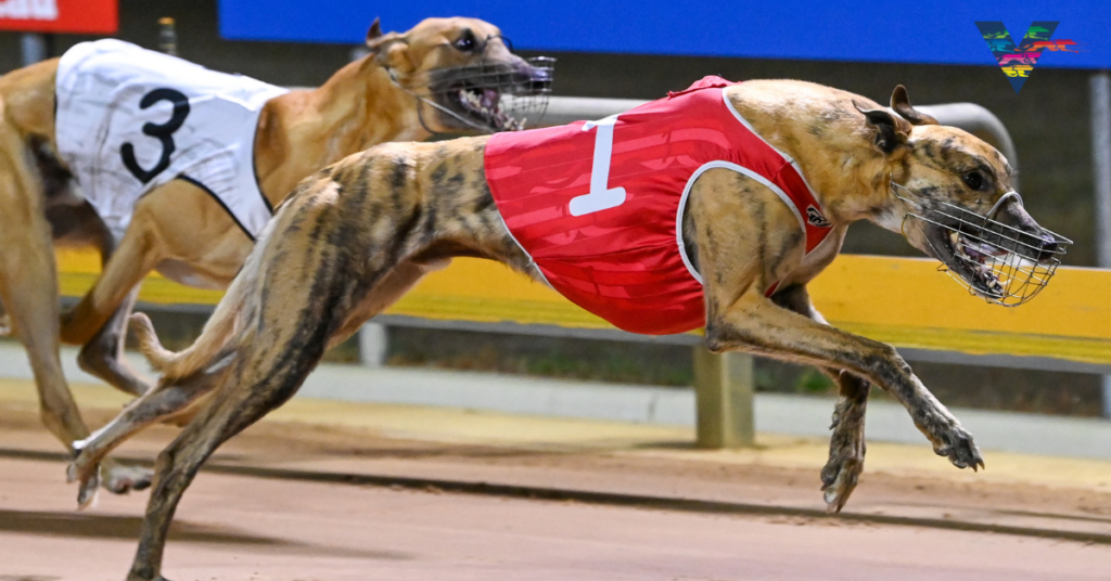 DODGER’S ‘SALAD DAYS’