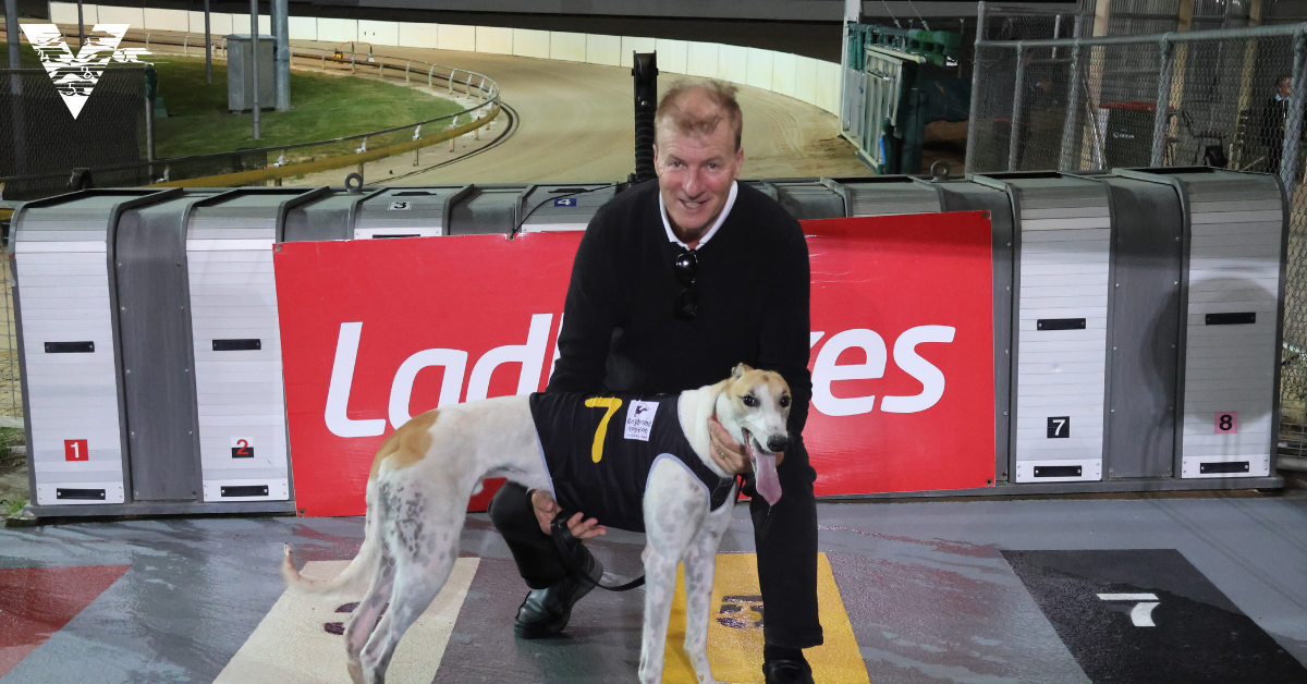 Geall’s Hobart Thousand ‘Express’