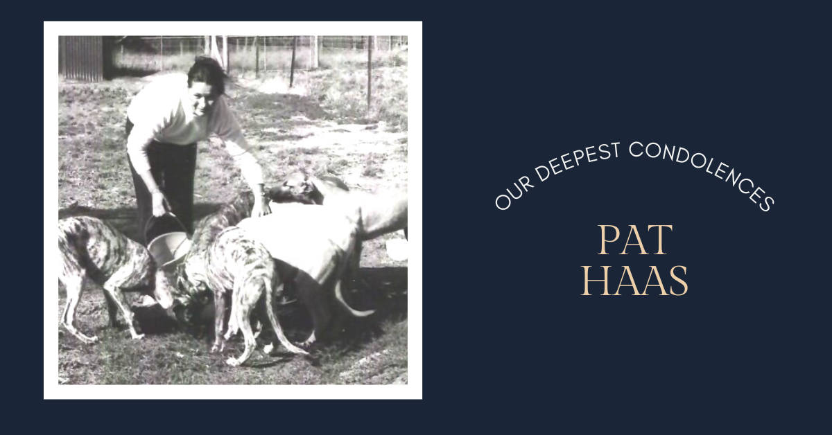 VALE PAT HAAS