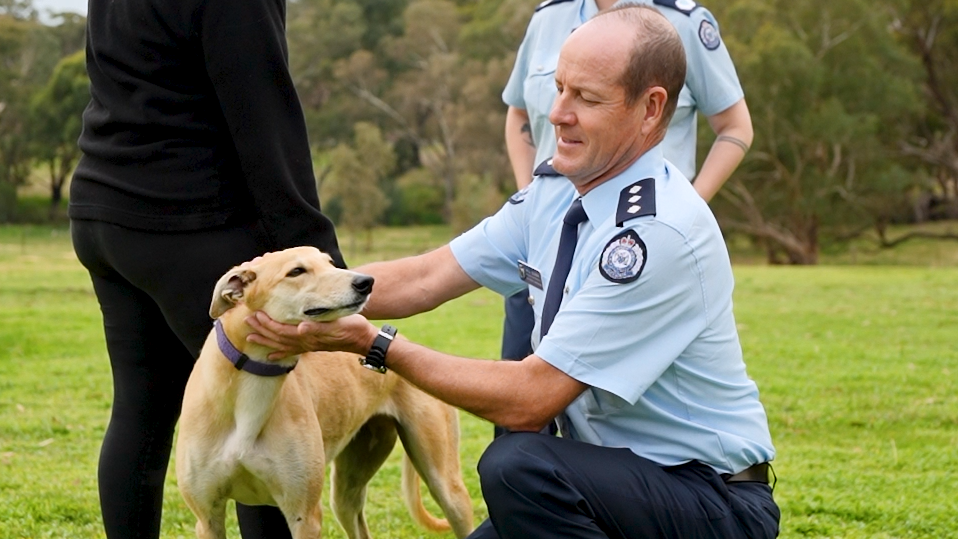 Pet Prison Program hits major milestone | GRV