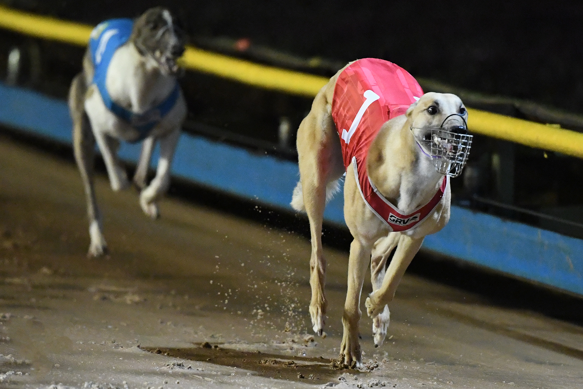 Scene set for Maturity and Fireball deciders