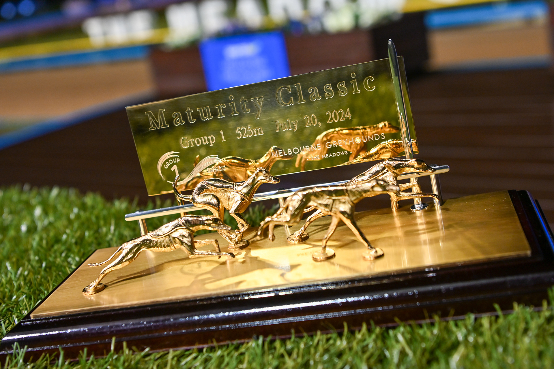 Maturity night - Countdown is on