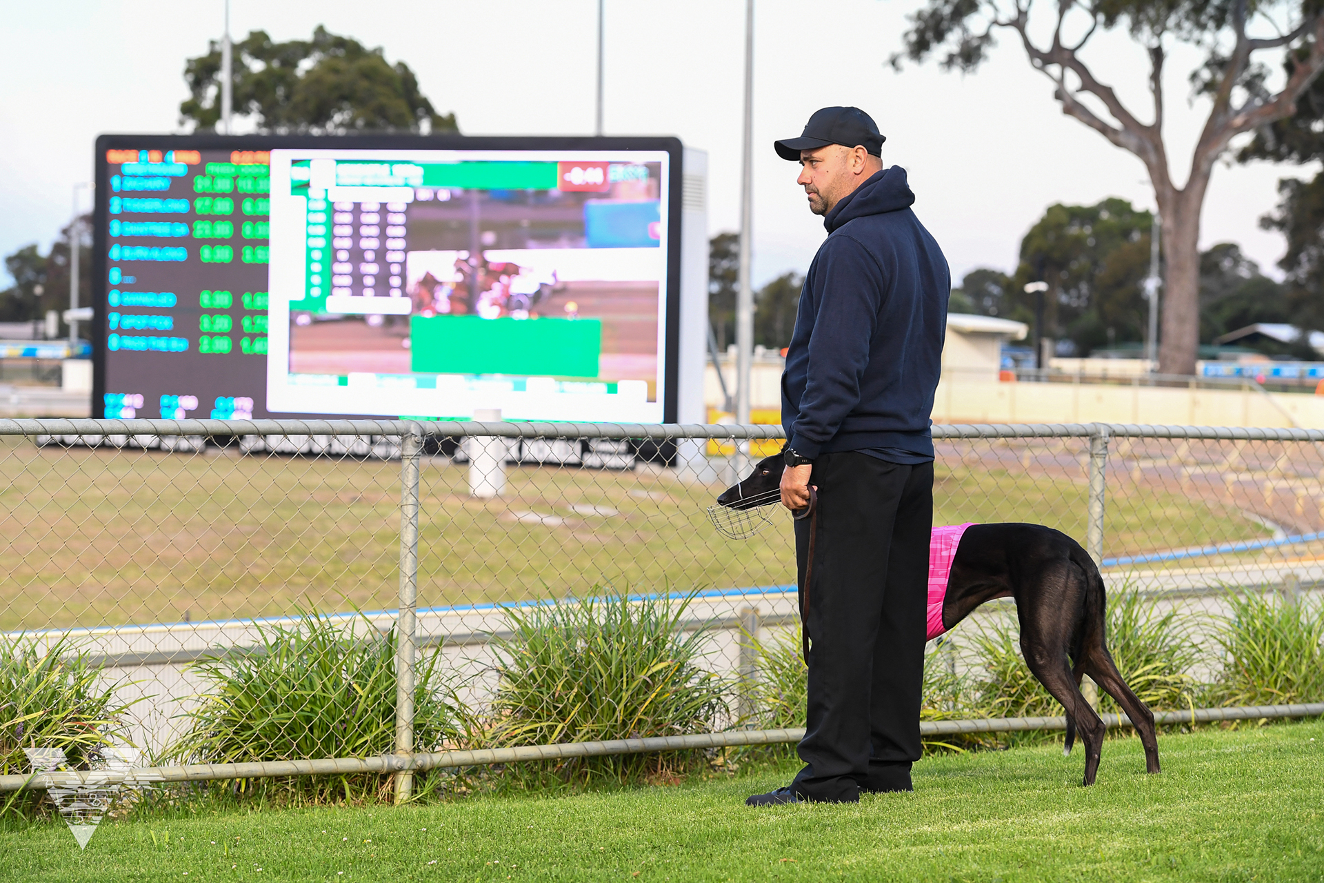 Strong Numbers for Bendigo