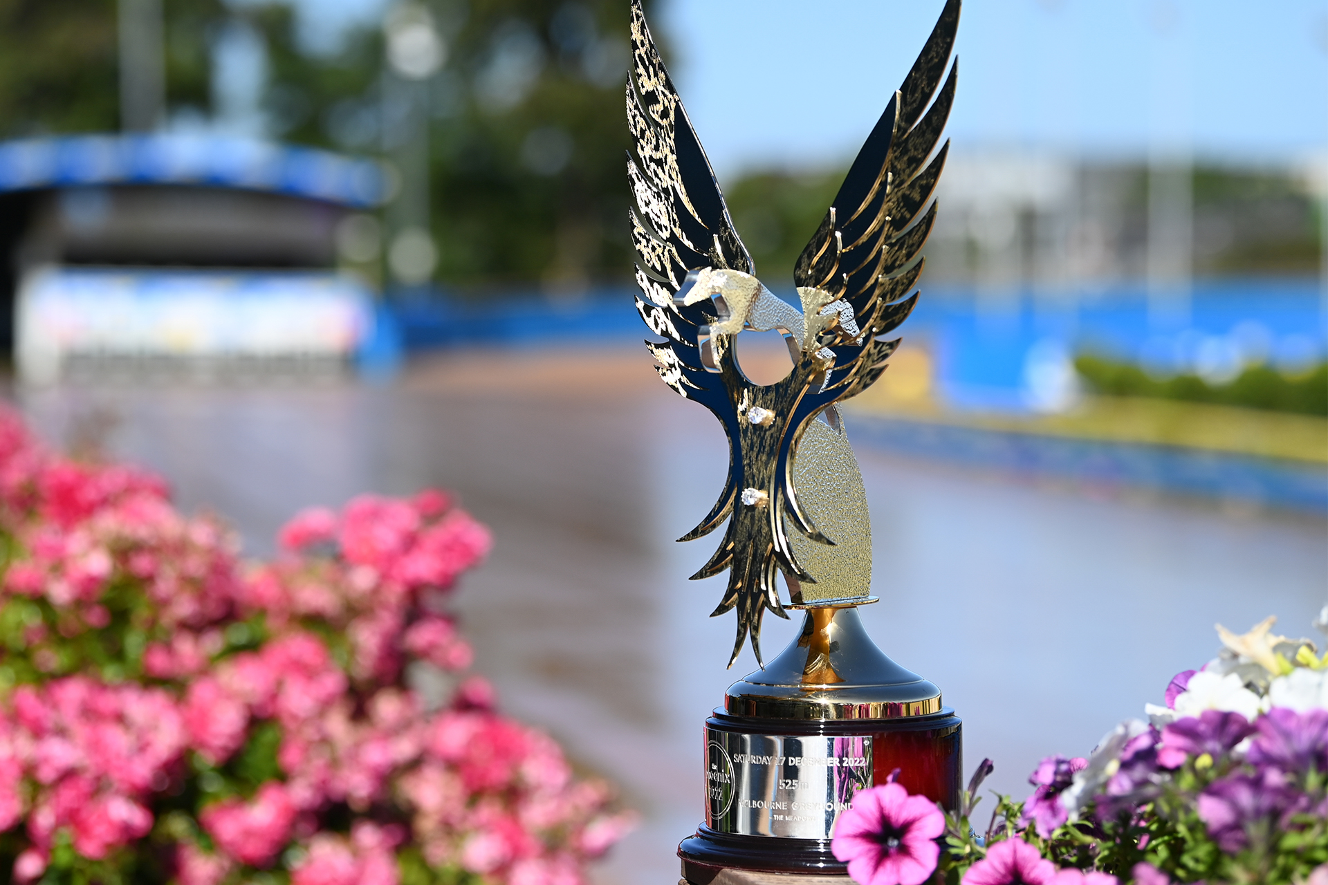 Phoenix slot applications now open