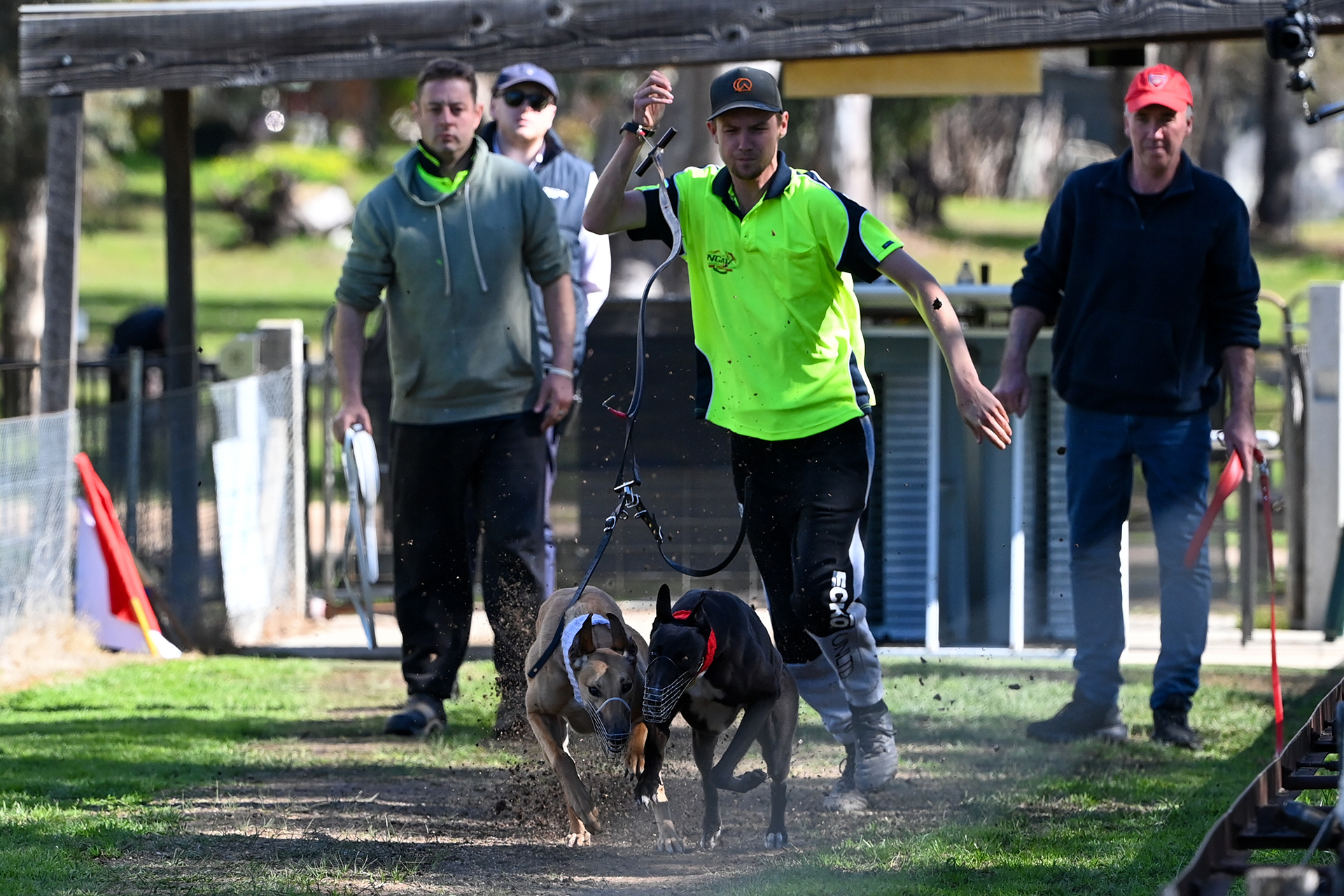 Coursing's crown jewel rolls on