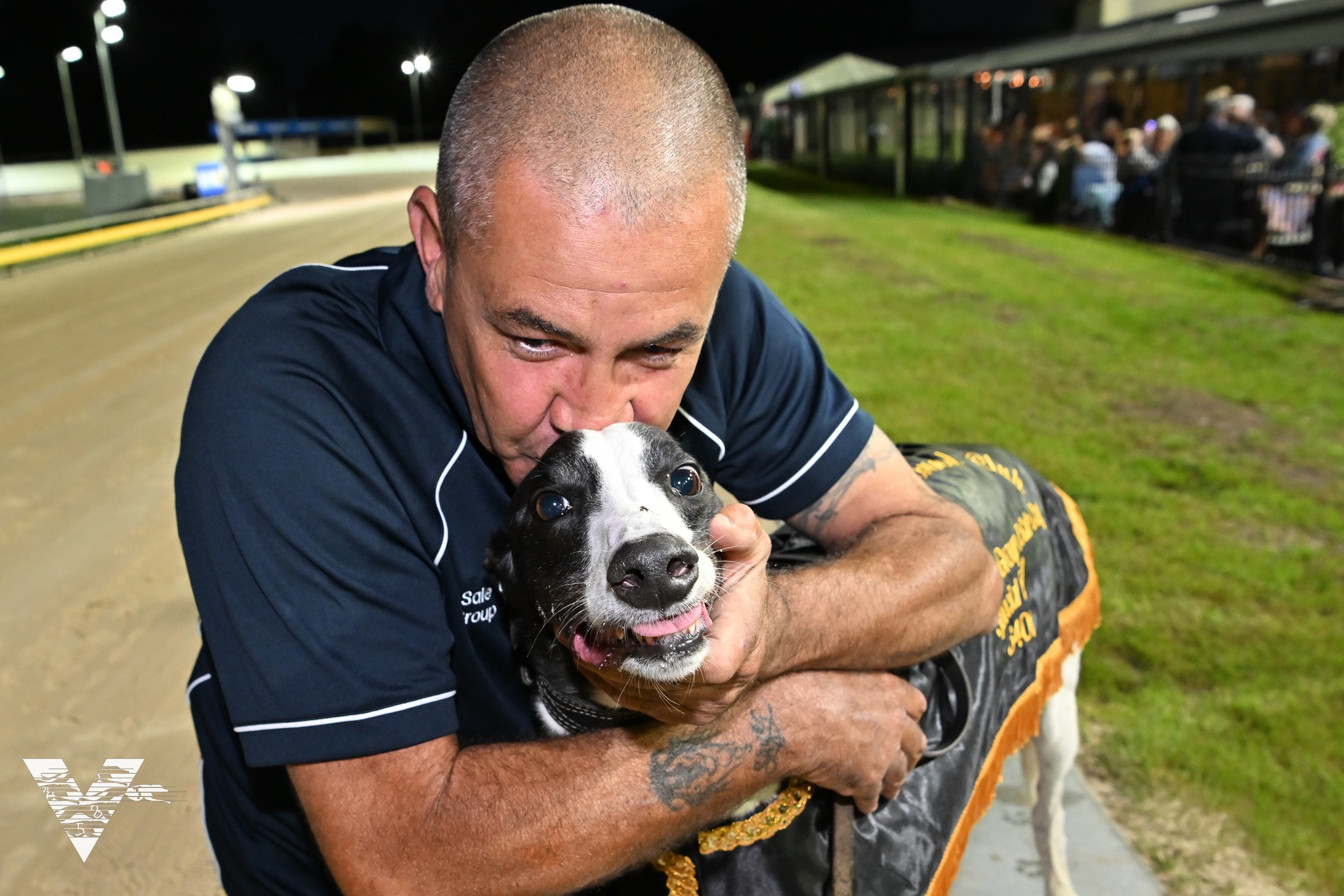 Sergeant Top dog in Video Cup